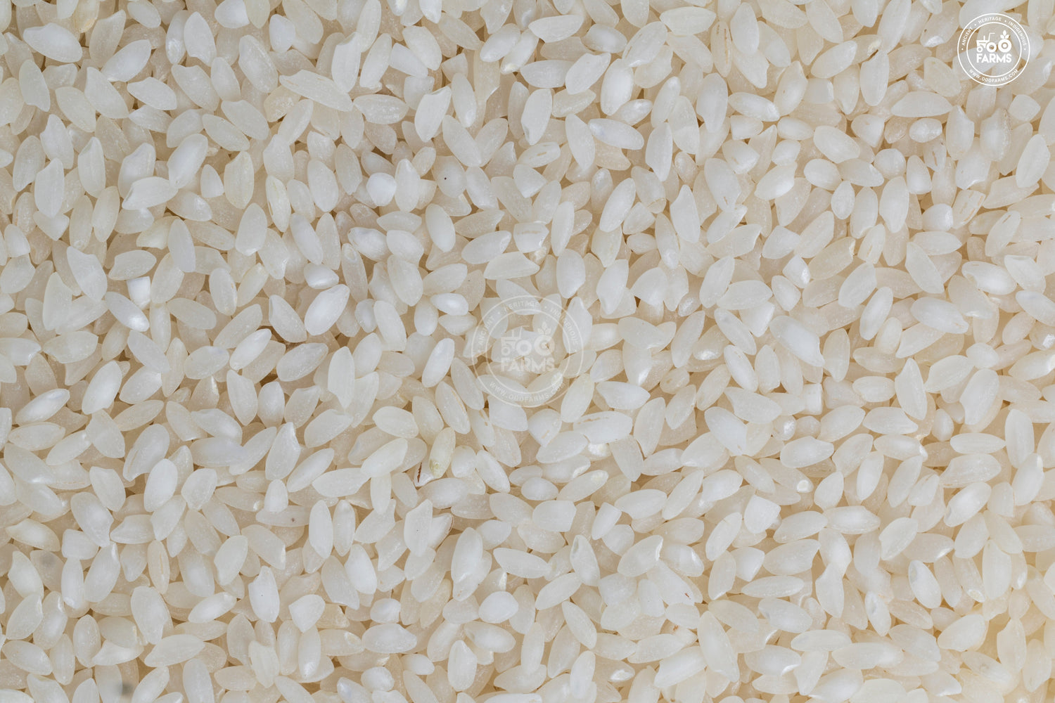 Rice By Health Benefit – OOO Farms