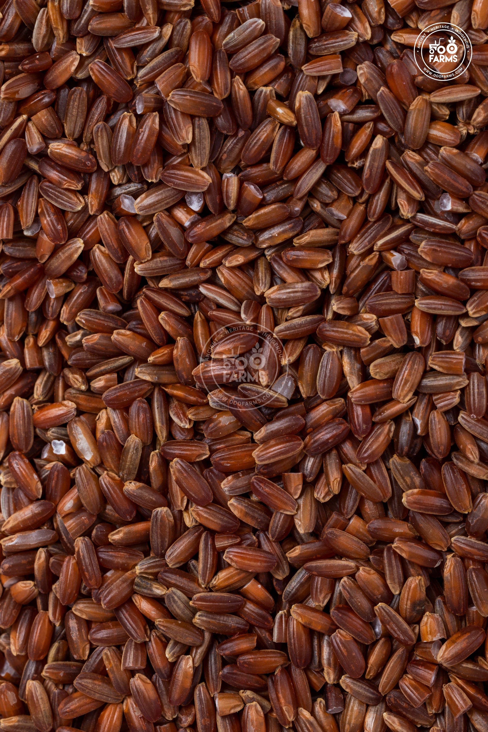 Rice By Aroma – OOO Farms
