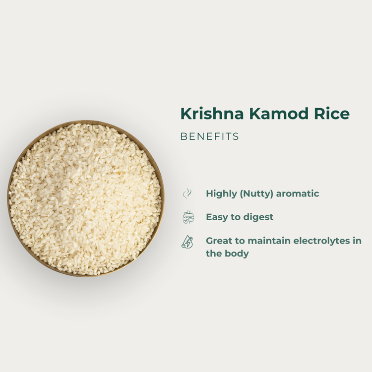 Krishna Kamod Rice (Semi Polished) – OOO Farms