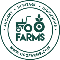 Grass Pea Dal / Khesari Dal / खेसरी – OOO Farms