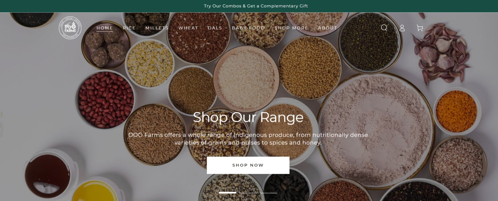 Vad / वड / Banyan Tree / Ficus benghalensis L. – OOO Farms