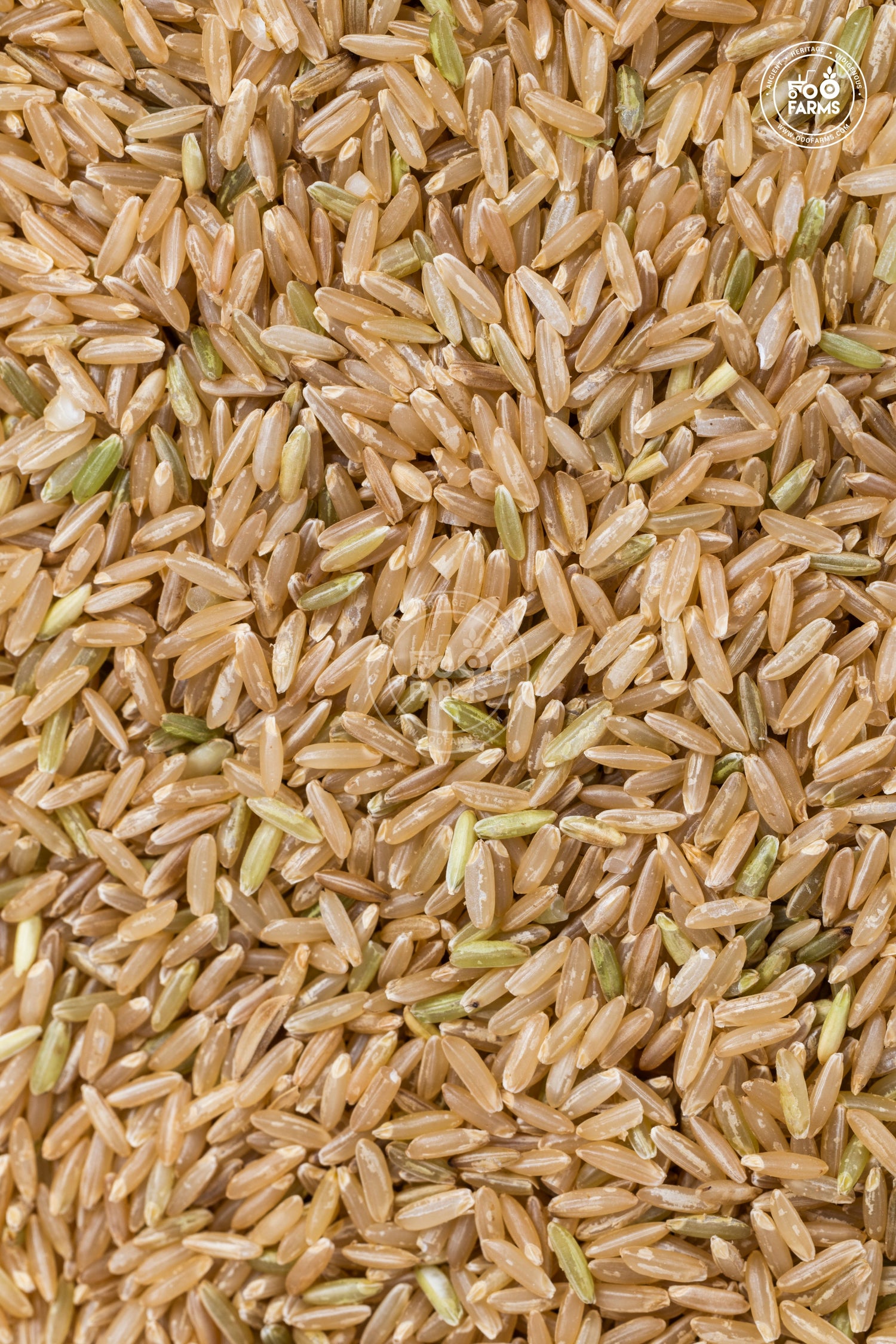 Rice By Health Benefit – OOO Farms
