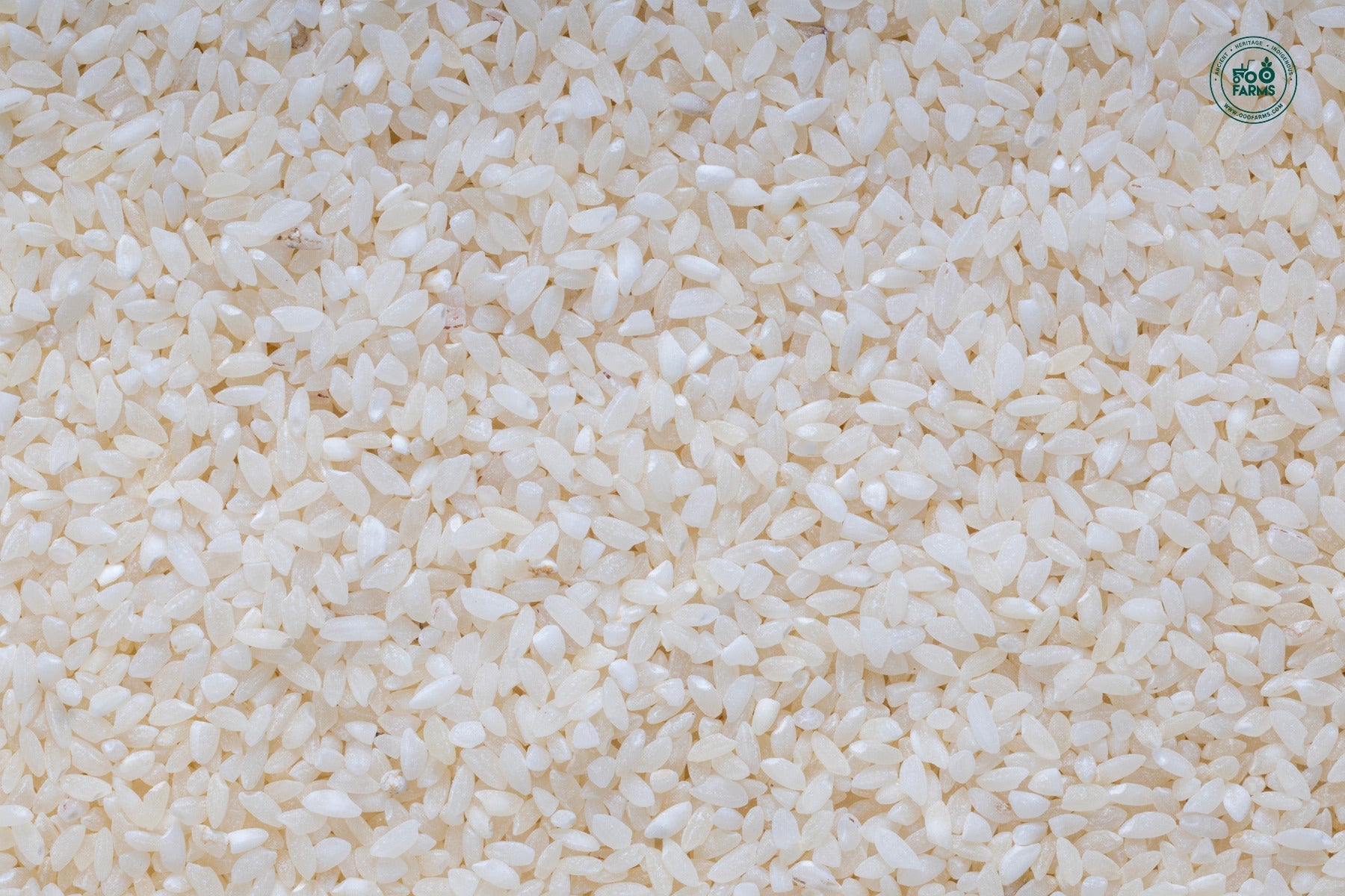 Ajara Ghansal Rice (Semi Polished) / आजरा घनसाल – OOO Farms