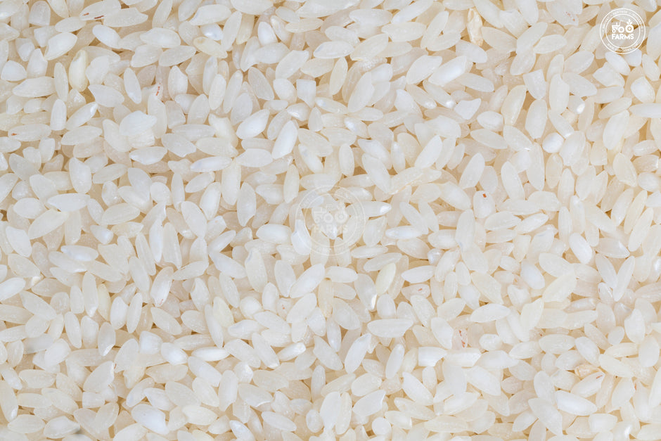 Rice – OOO Farms