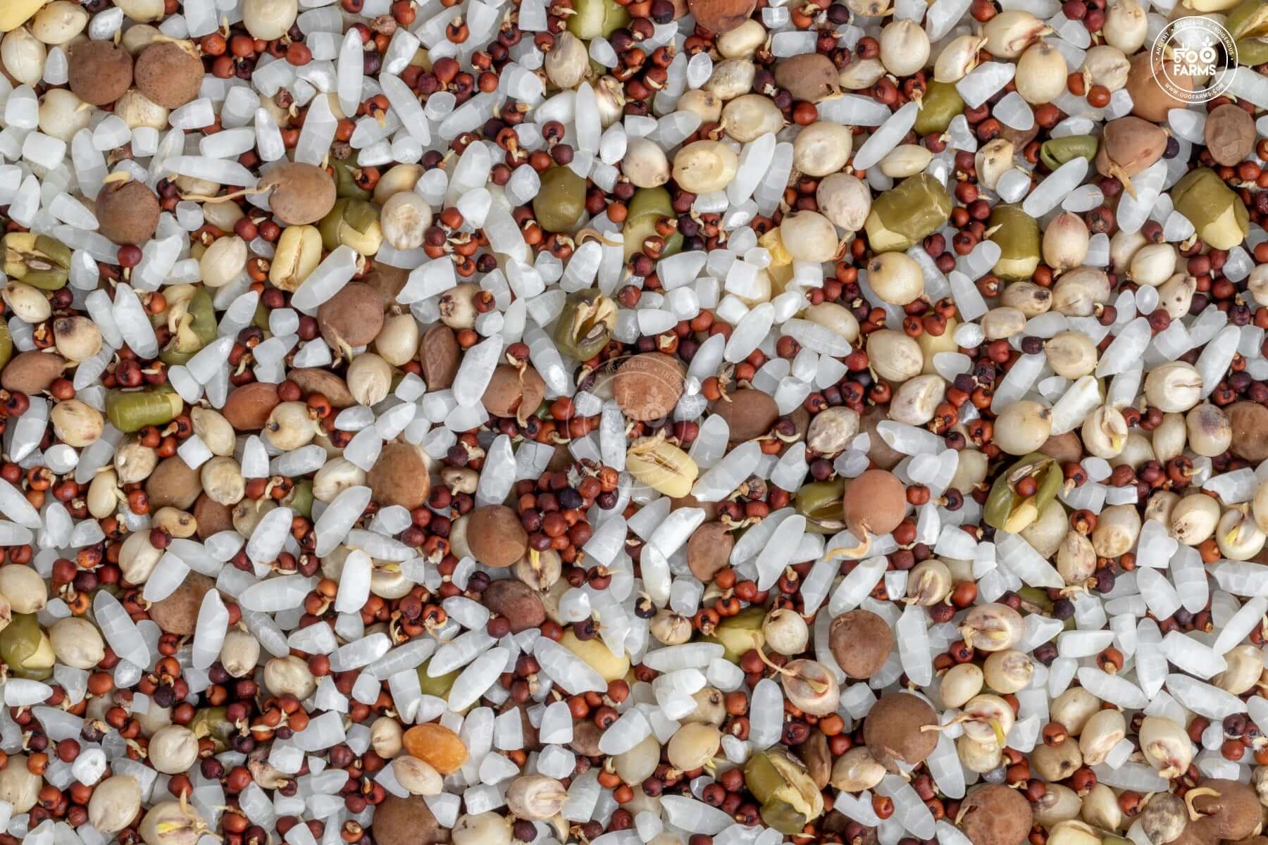Super Grain Mix – OOO Farms
